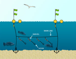 Longline fishing | Hookline – Manufacturer of electric haulers and ...